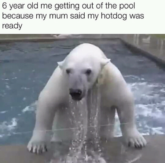 Polar bear getting out of pool meme 7470.jpg – Neko Random