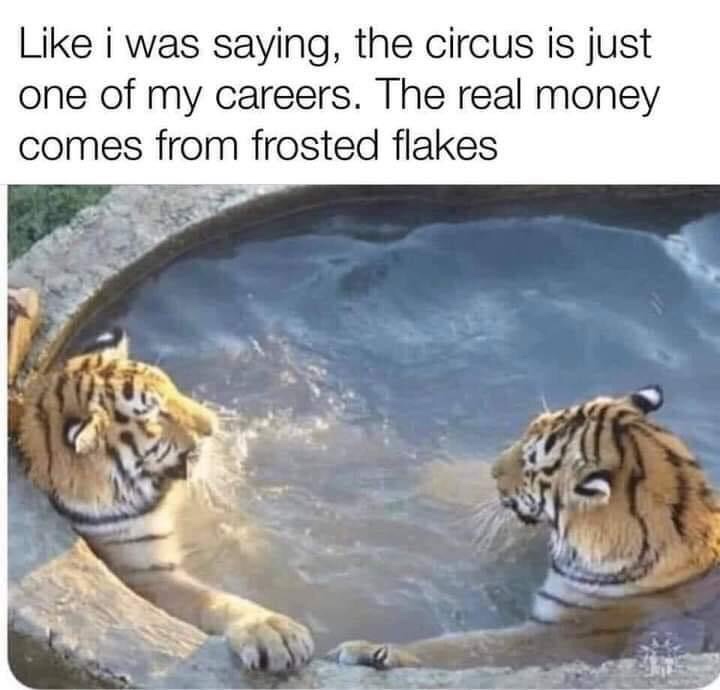 Meme Dump: Frosted Flakes – Neko Random