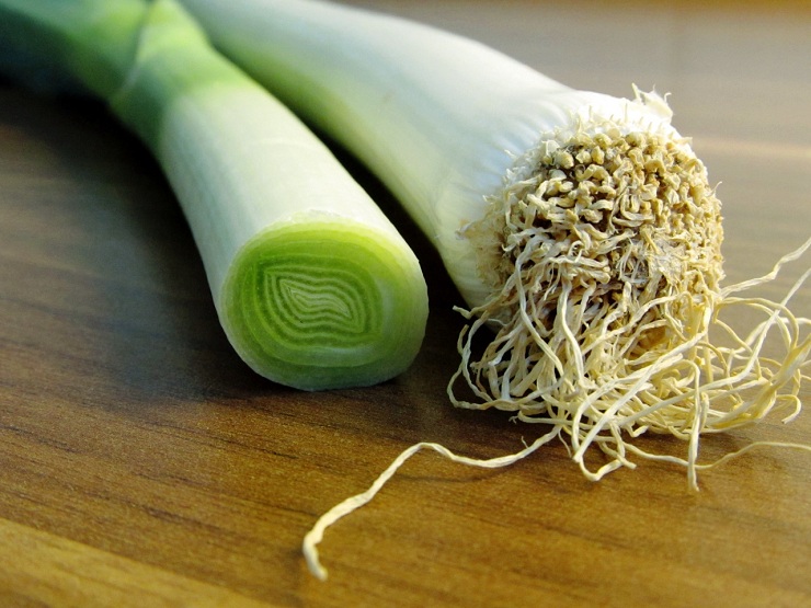 Fun Fact: Leeks in Welsh History – Neko Random