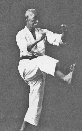 Fun Fact: Origin of Karate – Neko Random