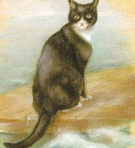 Fun Fact Unsinkable Sam Neko Random