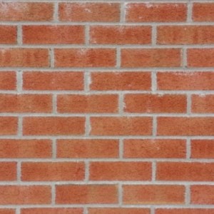 Fun Fact: The First Kind of Bricks - Neko Random