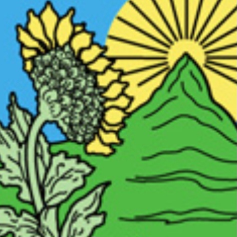 Fun Fact: Sunflowers Vs Chernobyl Nuclear Waste – Neko Random