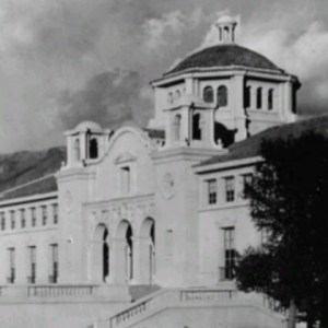 Fun Fact: Why Caltech Chose a Beaver as its Mascot - Neko Random